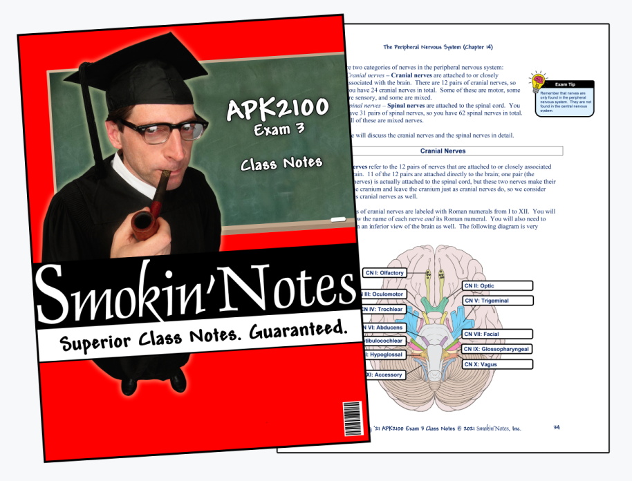 SmokinNotes - Smokin'Notes